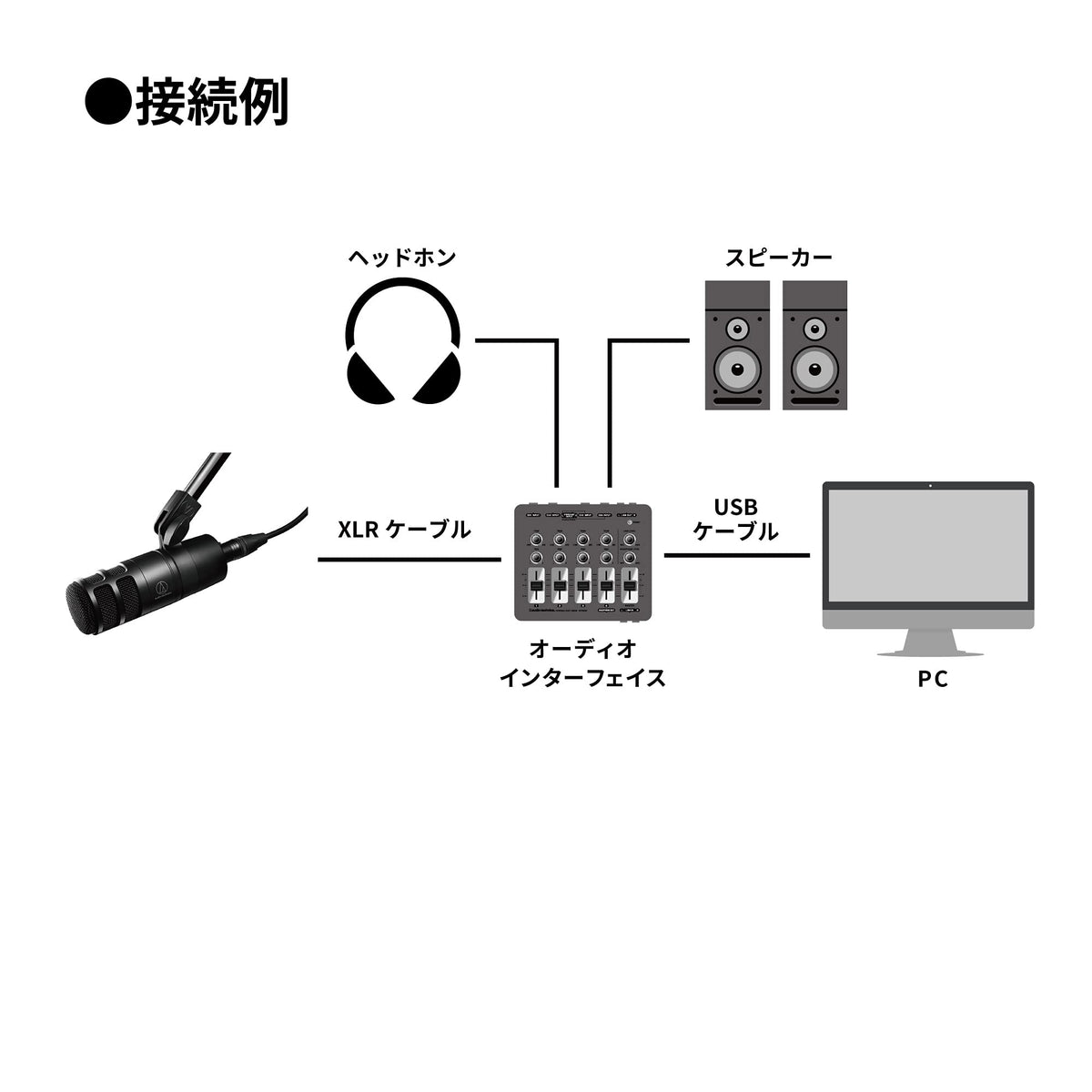 Audio Technica AT2040 Hypercardioid Dynamic Podcast Microphone – MD DC ...