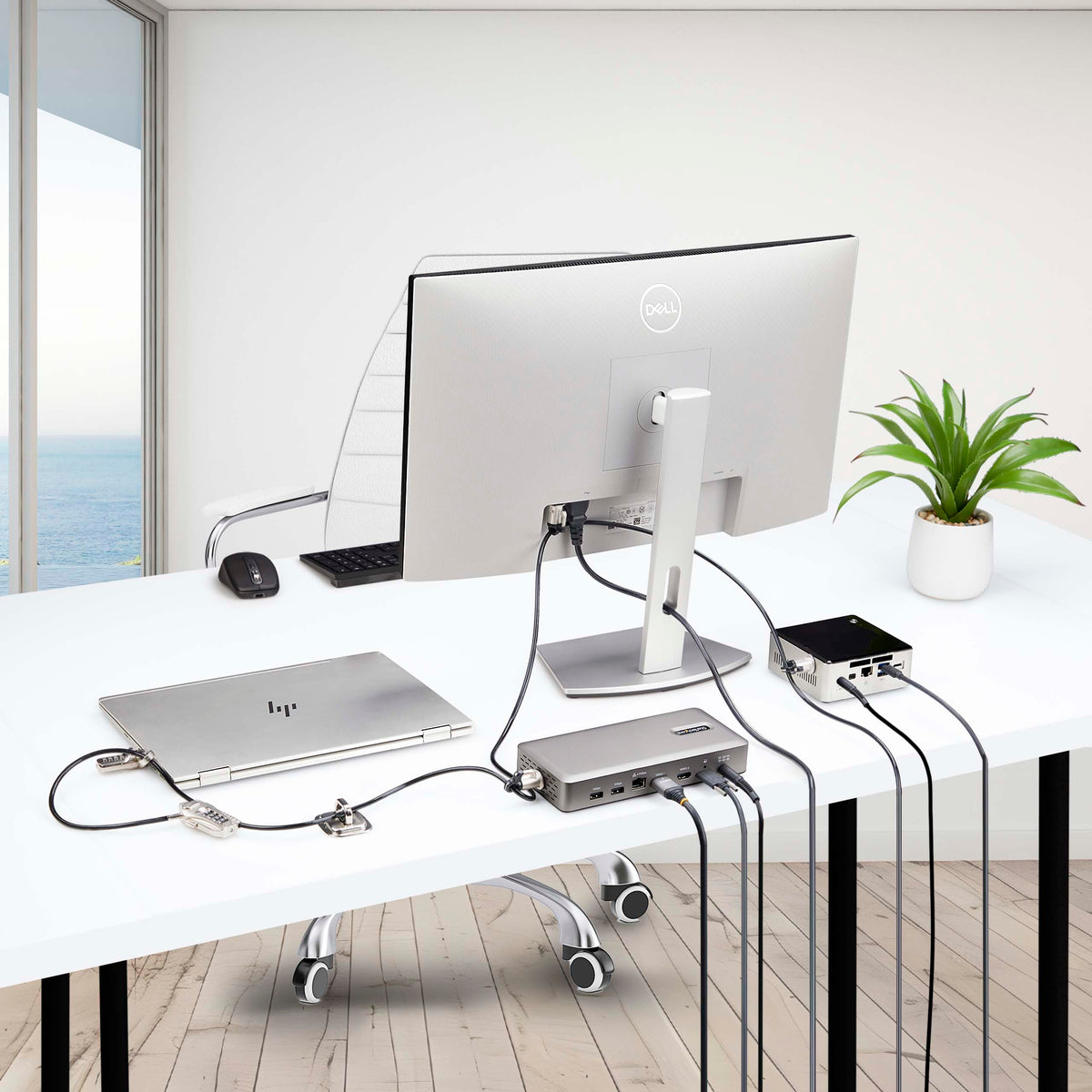 Laptop/Desktop & Peripheral Lock Kit, Theft-Deterring Security Lock, K ...